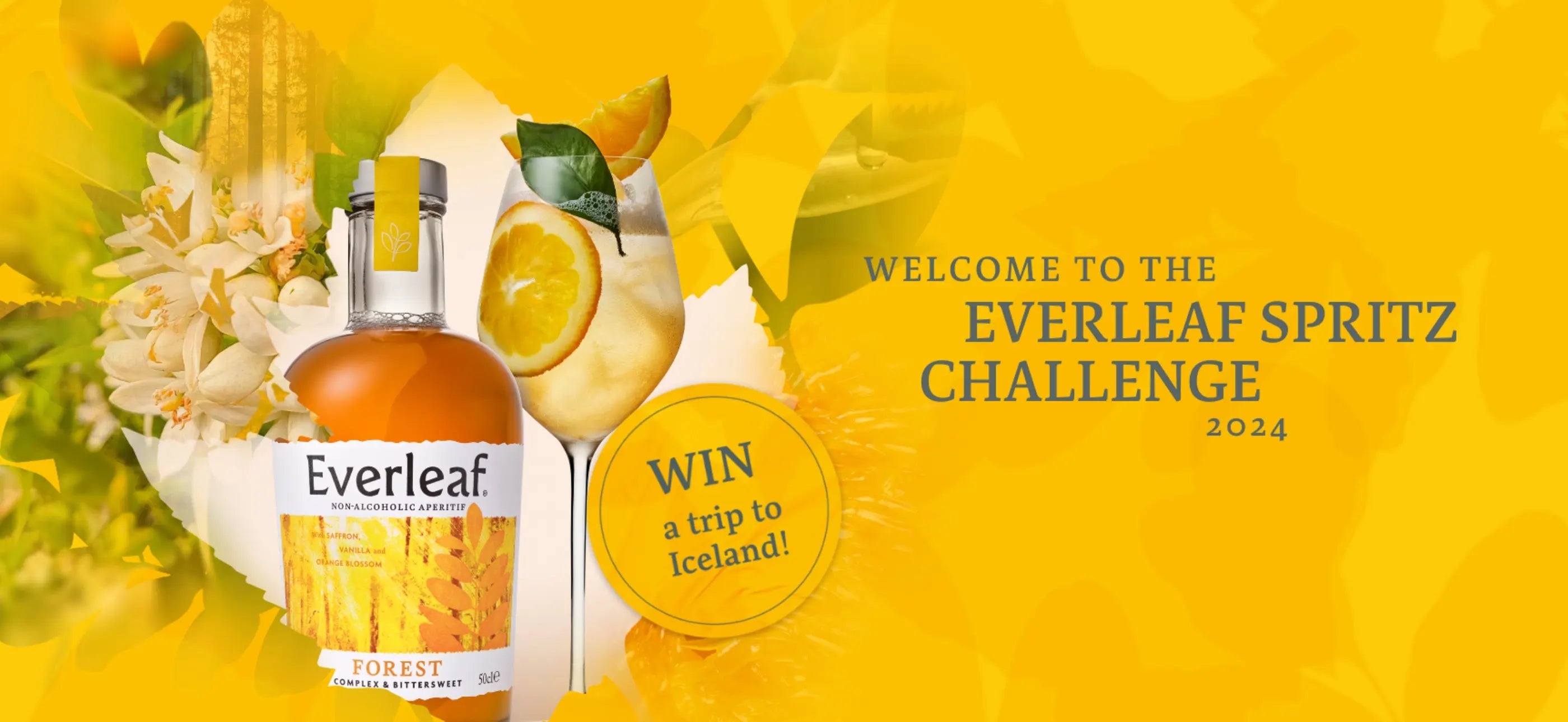 Everleaf Spritz Competition 2024