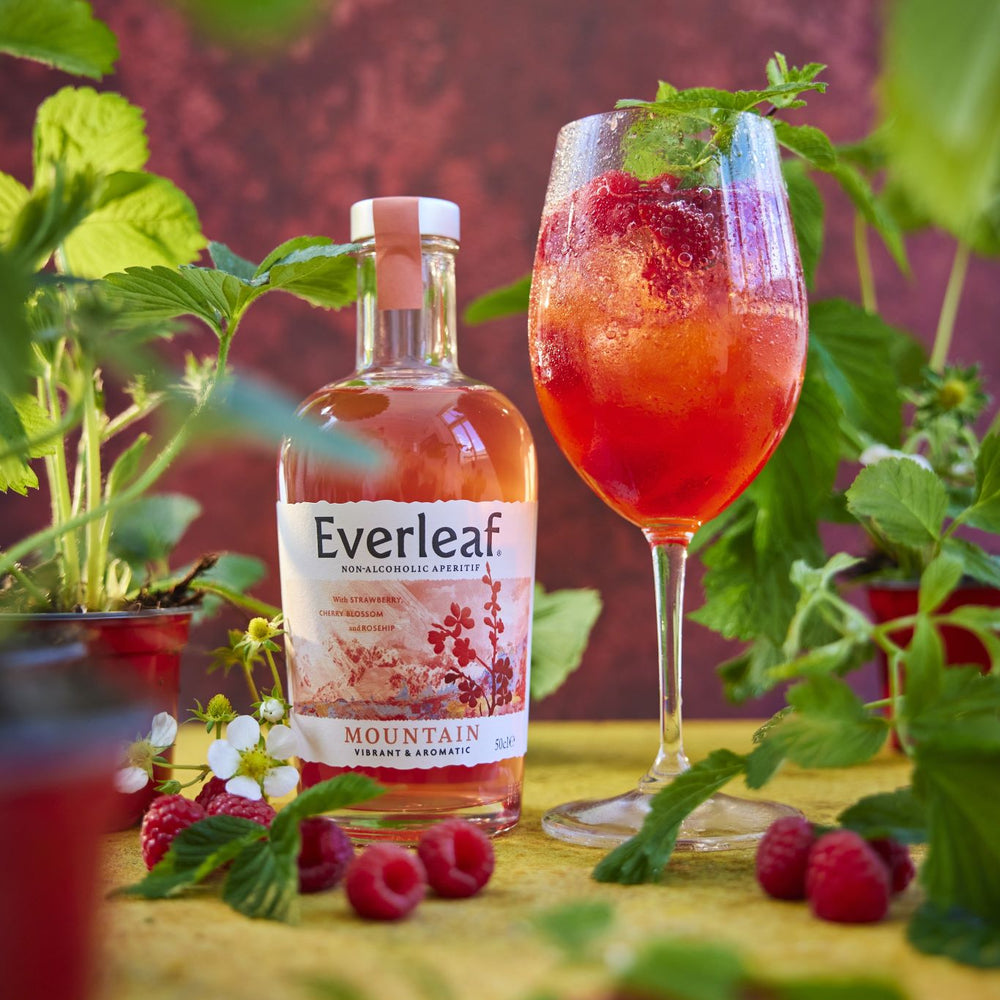 Mountain Non-Alcoholic Raspberry Spritz